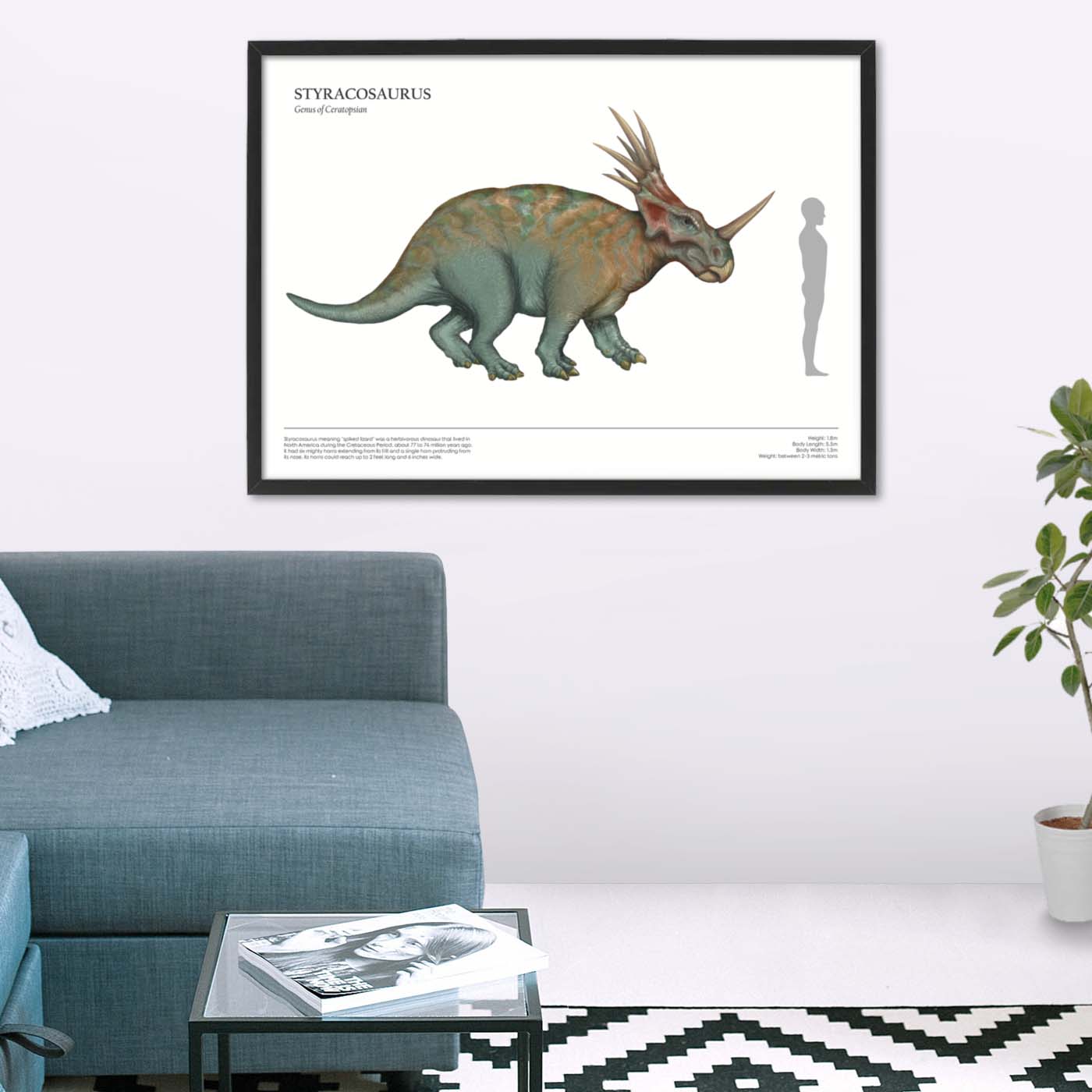 Human & Dinosaur Size Comparison Posters (Styracosaurus, A2)